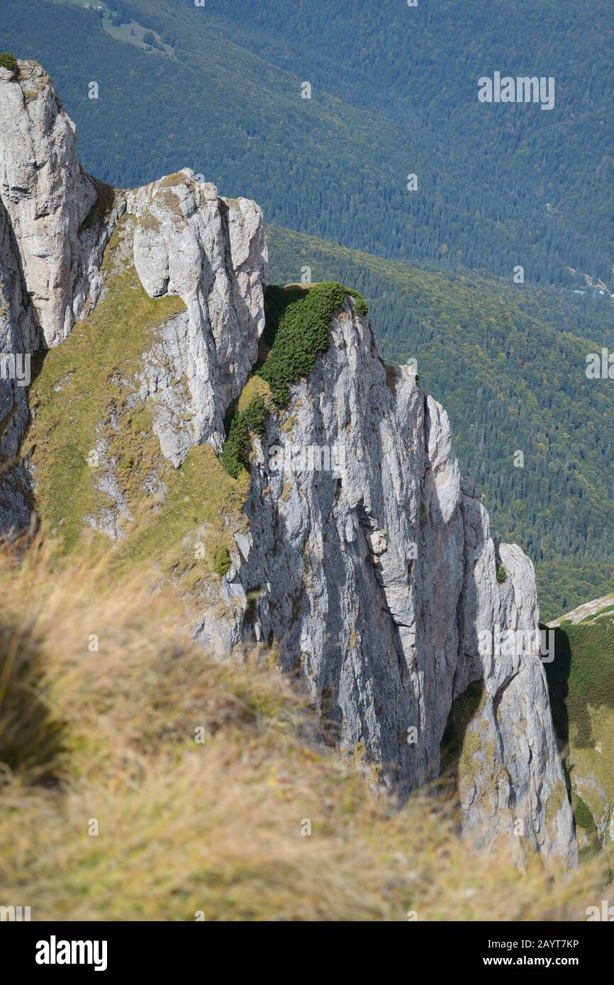wall with sedimentary rocks - mountain landscape from Romania Stock ...