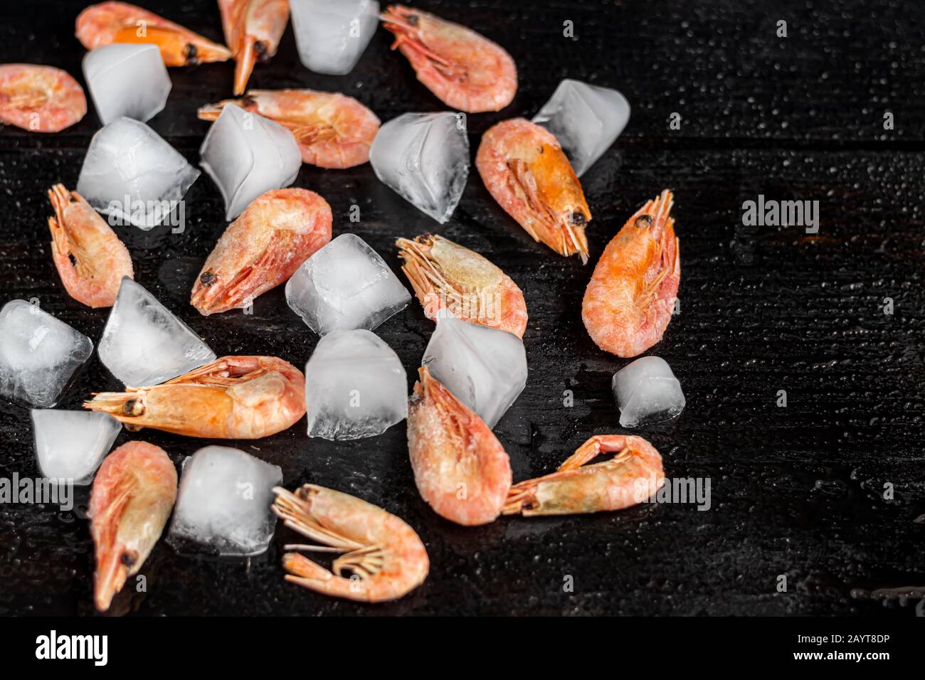 Shrimp spread between ice cubes. Freeze on a black wooden background ...