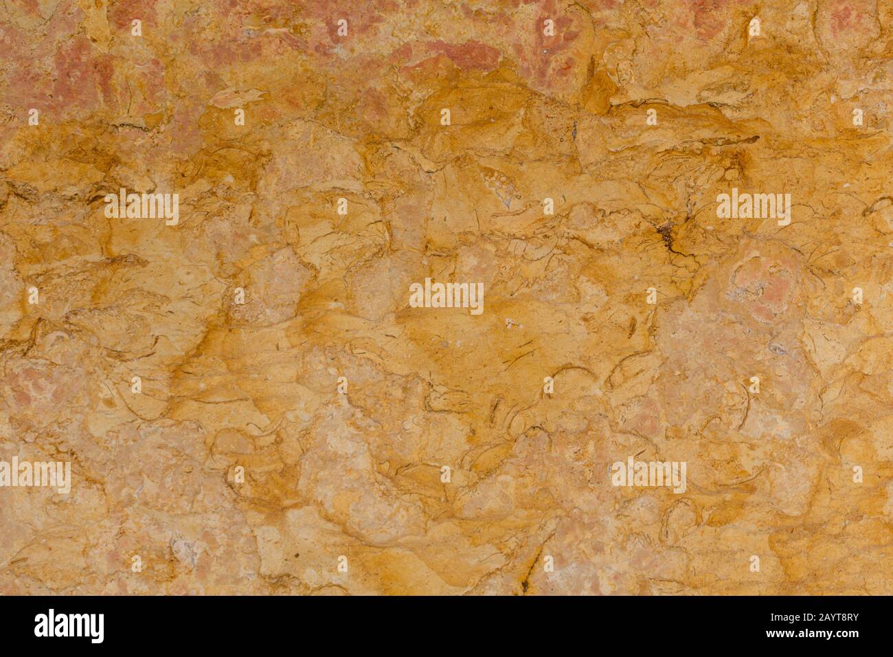 Superlative light brown marble texture Stock Photo - Alamy