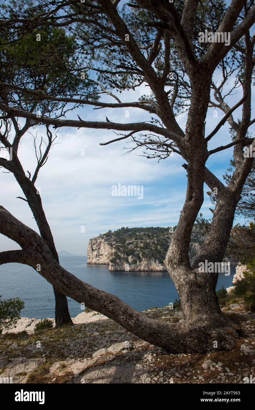 View of the Calanque de Port-Pin from Pointe Cacao in the Calanques ...