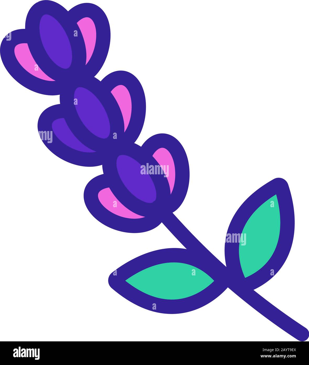 Lavender flower icon vector. Isolated contour symbol illustration Stock ...