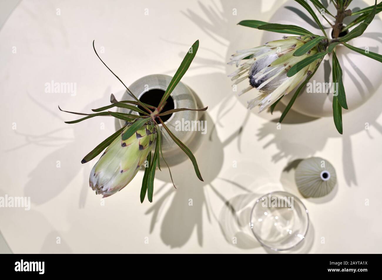 Top view at light table with vases with flowers Stock Photo - Alamy