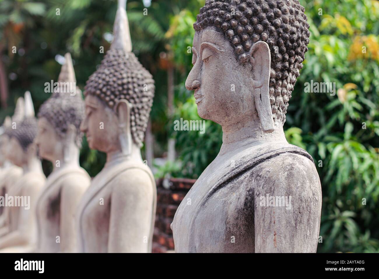 Rows of buddha statues in Ayutthaya, Thailand Stock Photo - Alamy