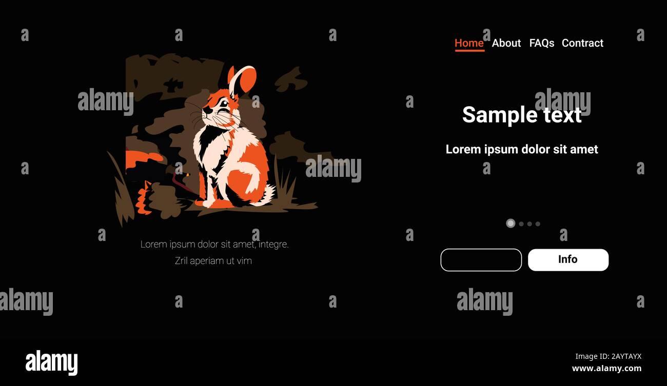 rabbit running from forest fires in australia animals dying in wildfire ...