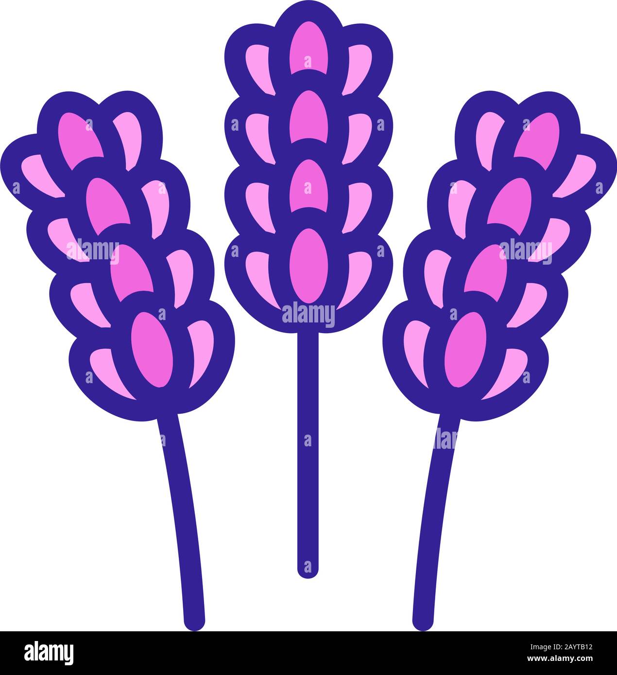 Lavender flower icon vector. Isolated contour symbol illustration Stock ...