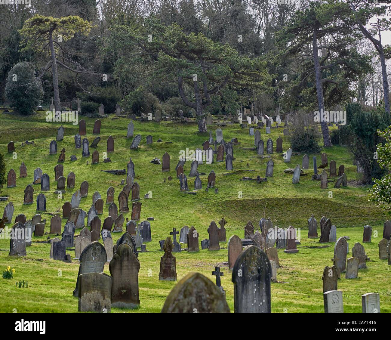 Headstones on the graves in the main cemetery at Dover Kent Garden of ...