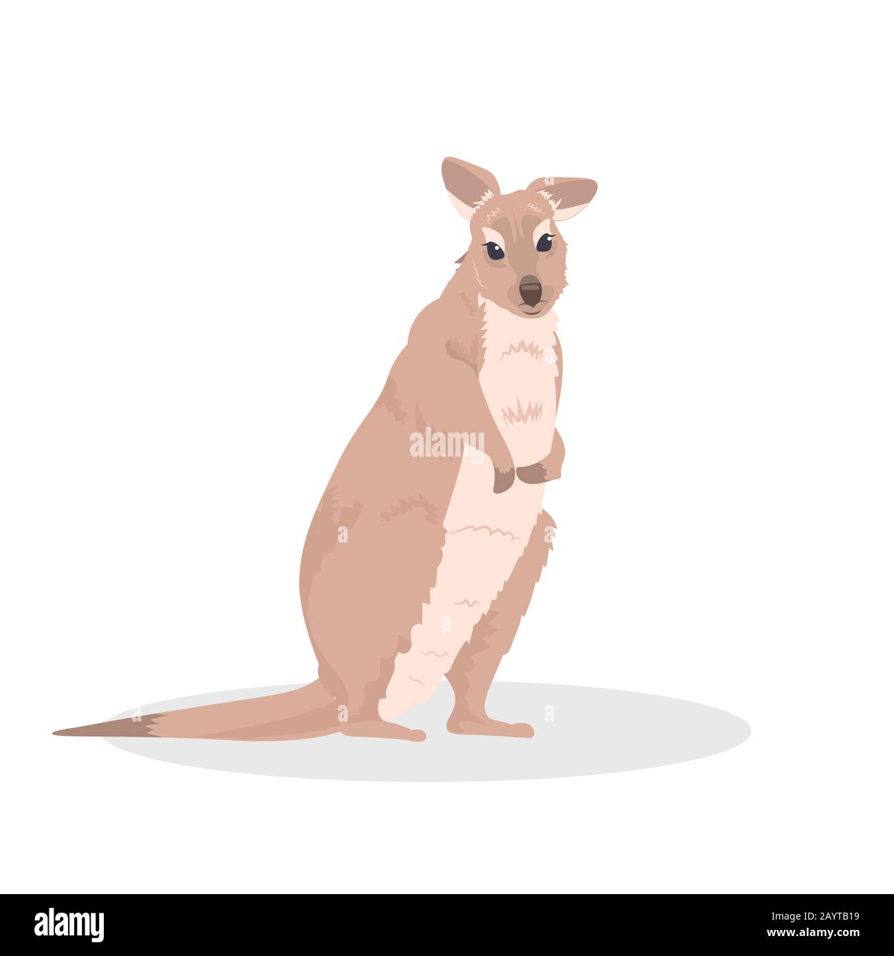 kangaroo or wallaby icon cartoon endangered wild australian animal ...