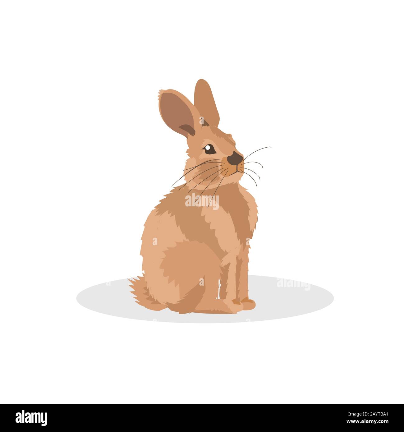 rabbit icon cartoon endangered wild australian animal symbol wildlife ...