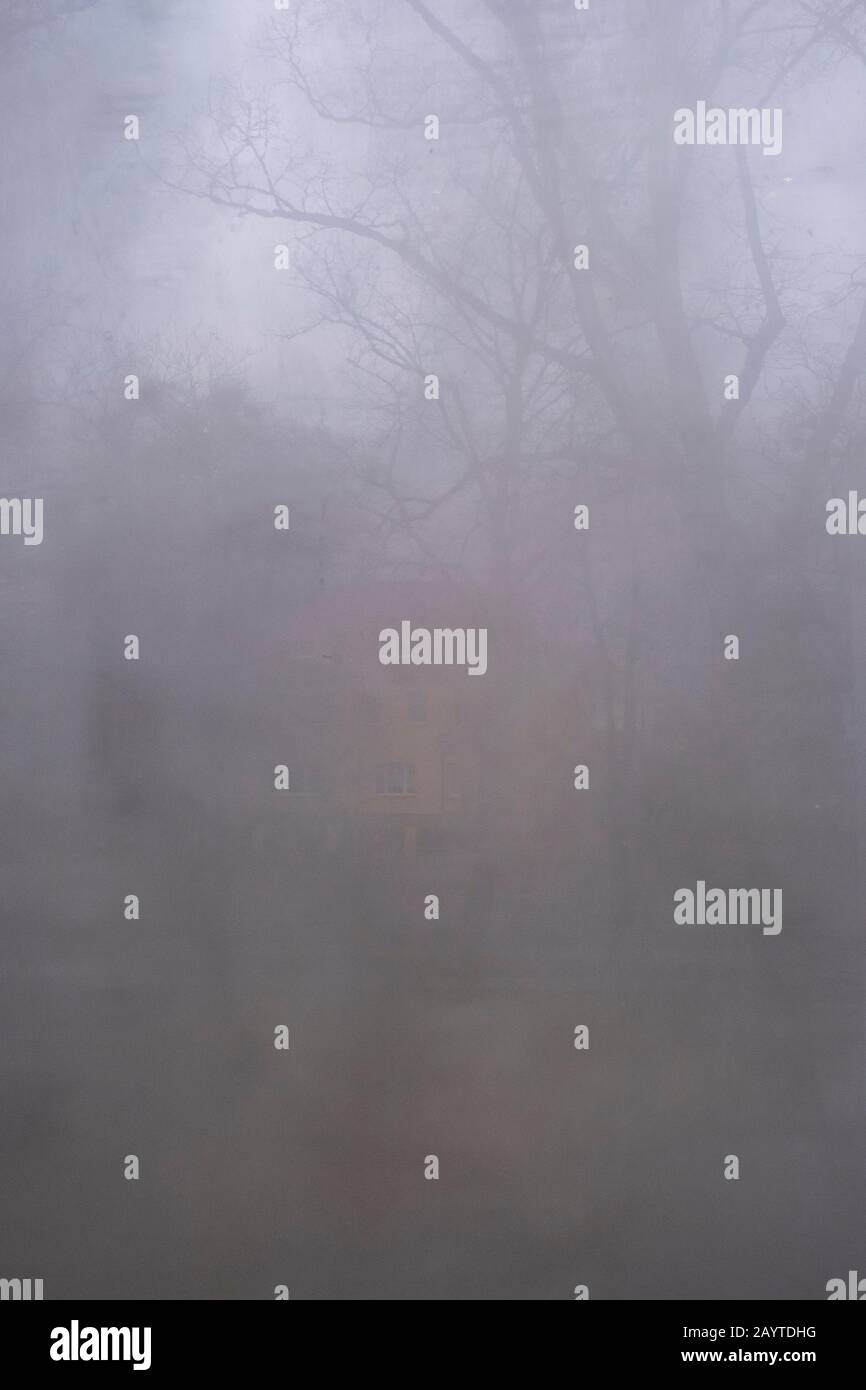 Scary looking trees hi-res stock photography and images - Alamy