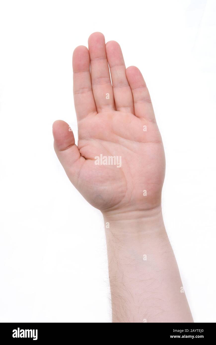 Palm male hand on a white background Stock Photo - Alamy