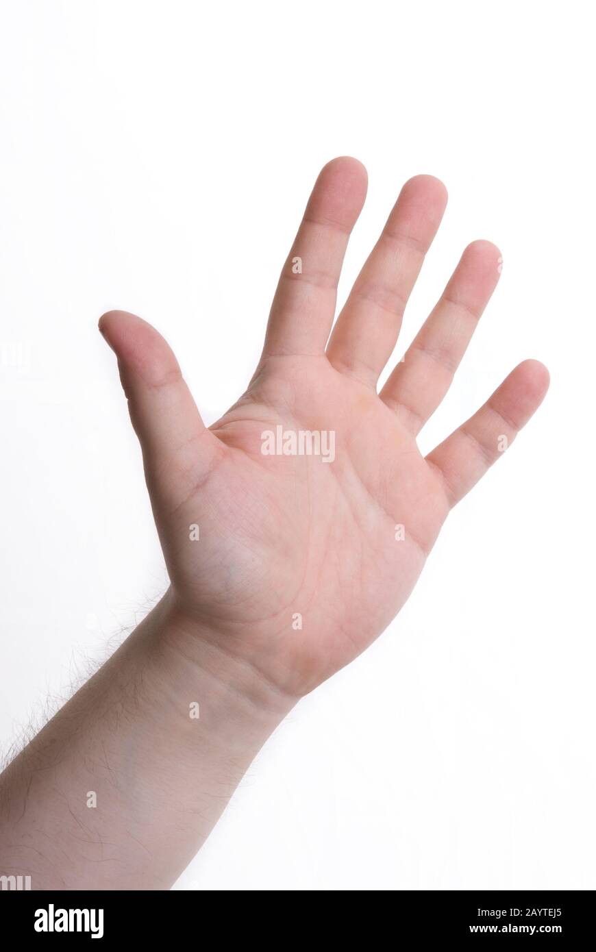 White Background Man Hand