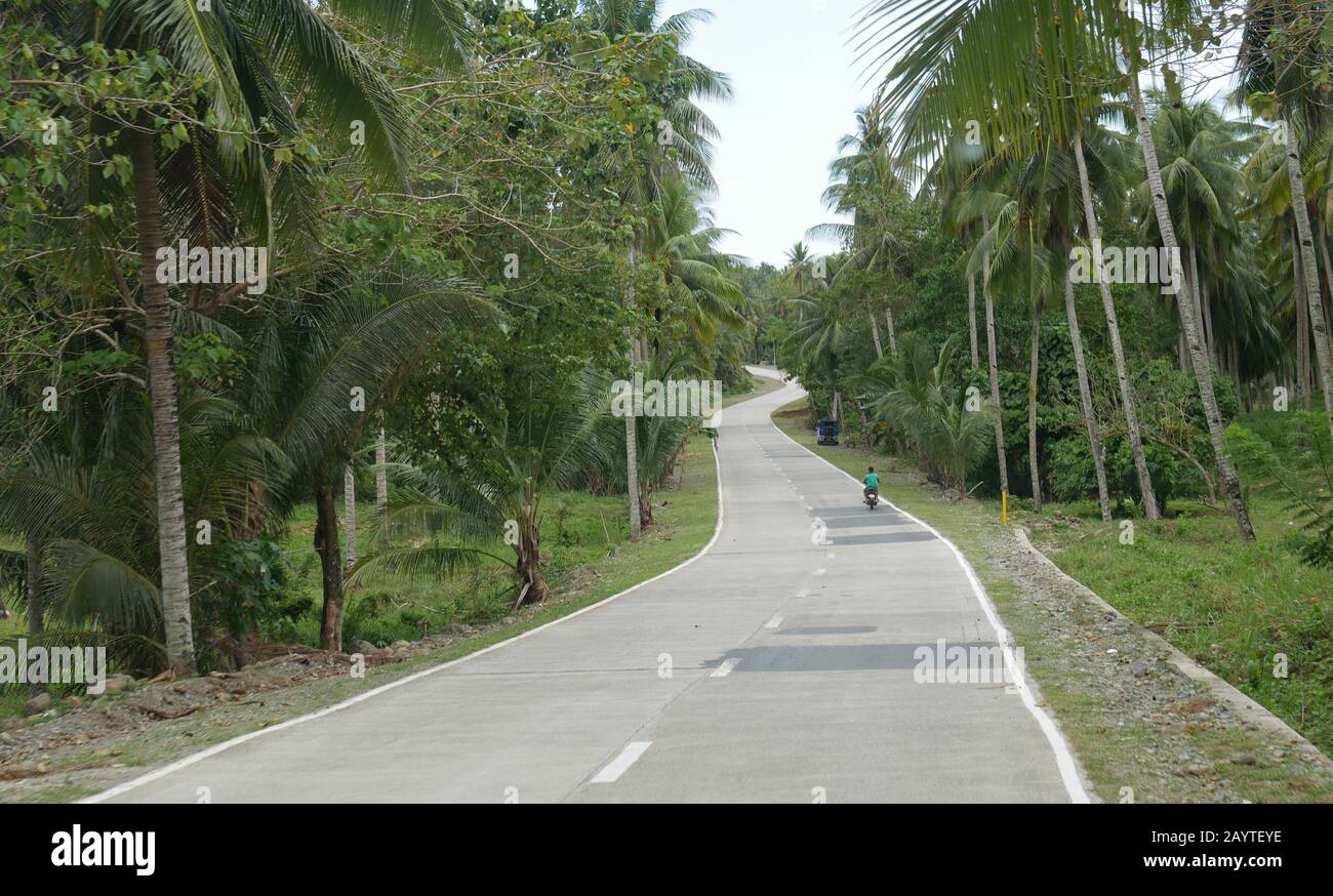 Coconut trees route hi-res stock photography and images - Alamy