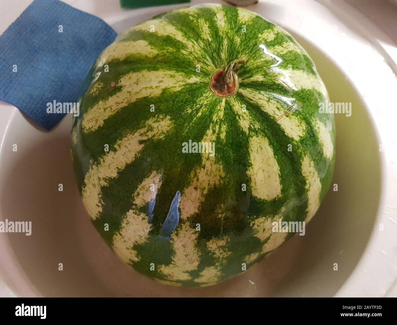 Whole large striped wet watermelon in the kitchen sink Stock Photo - Alamy