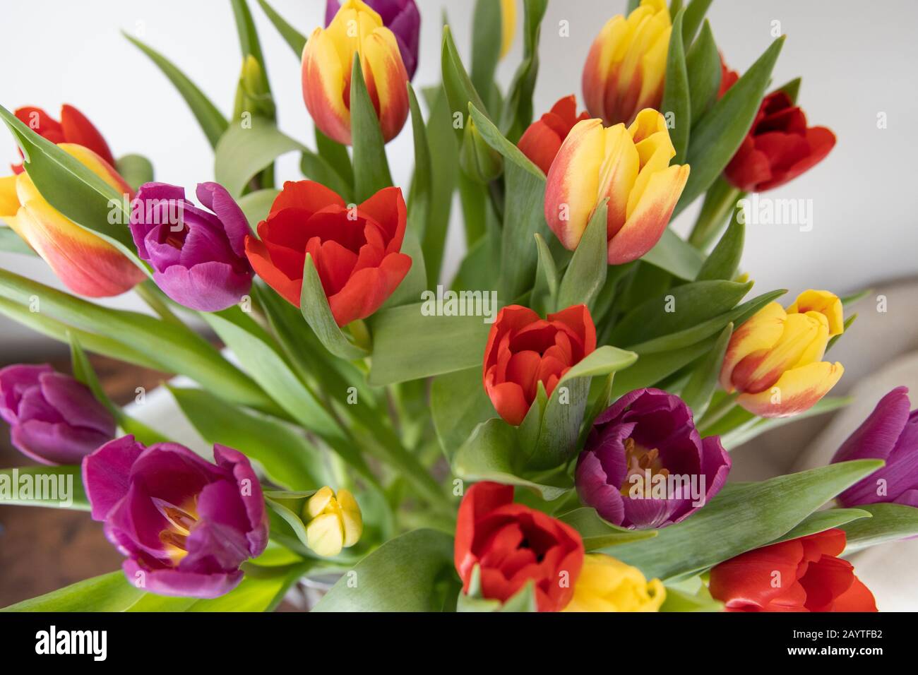 Display of multicoloured spring tulips Stock Photo - Alamy