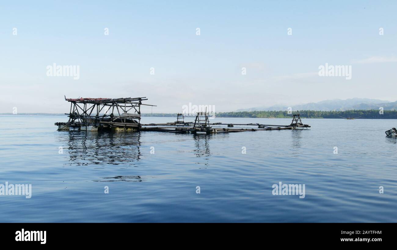 Ocean pens hi-res stock photography and images - Alamy