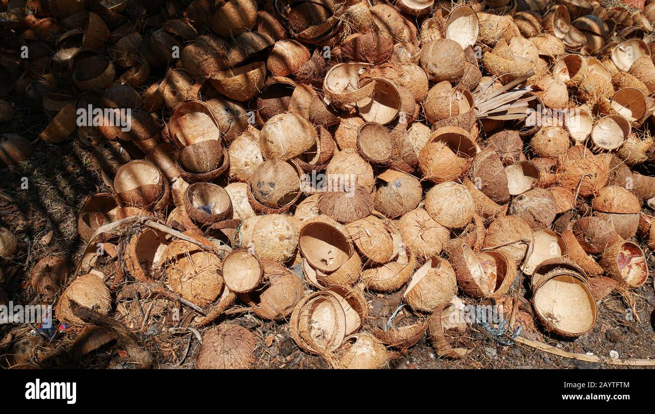 Medium close up shot of a pile of coconut shells on the ground being ...