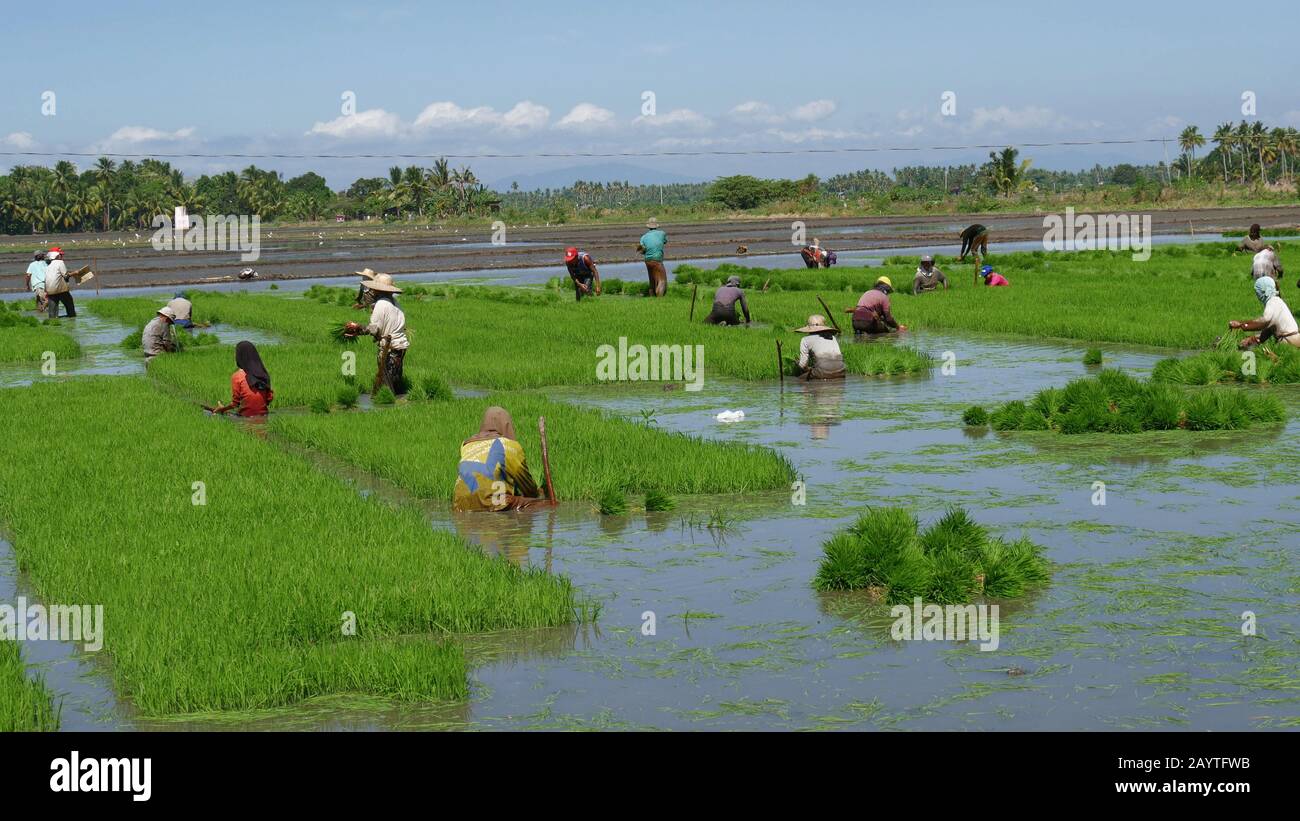 Banay Banay, Davao Oriental, Philippines - March 2016: Wide shot of ...