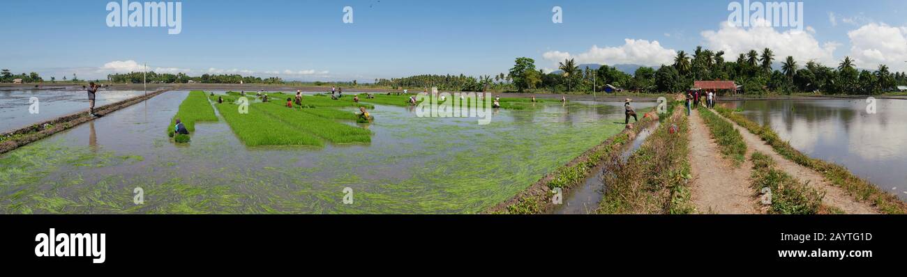 Banay Banay, Davao Oriental, Philippines - March 2016: Panoramic shot ...