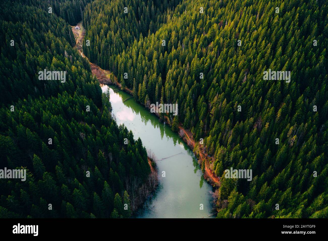 Lake ina pine tree forest with small boats seen from a drone Stock ...