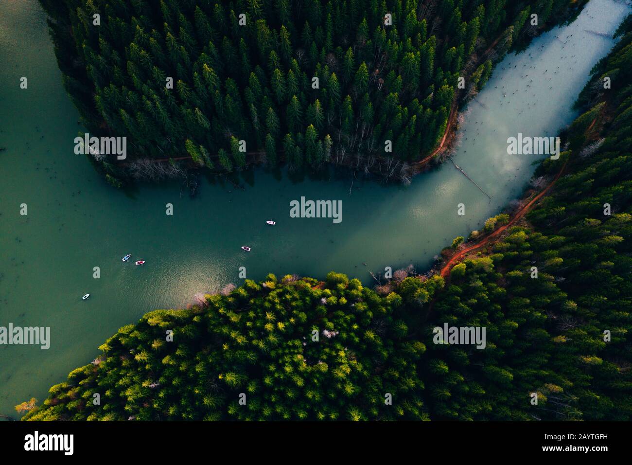 Lake ina pine tree forest with small boats seen from a drone Stock ...