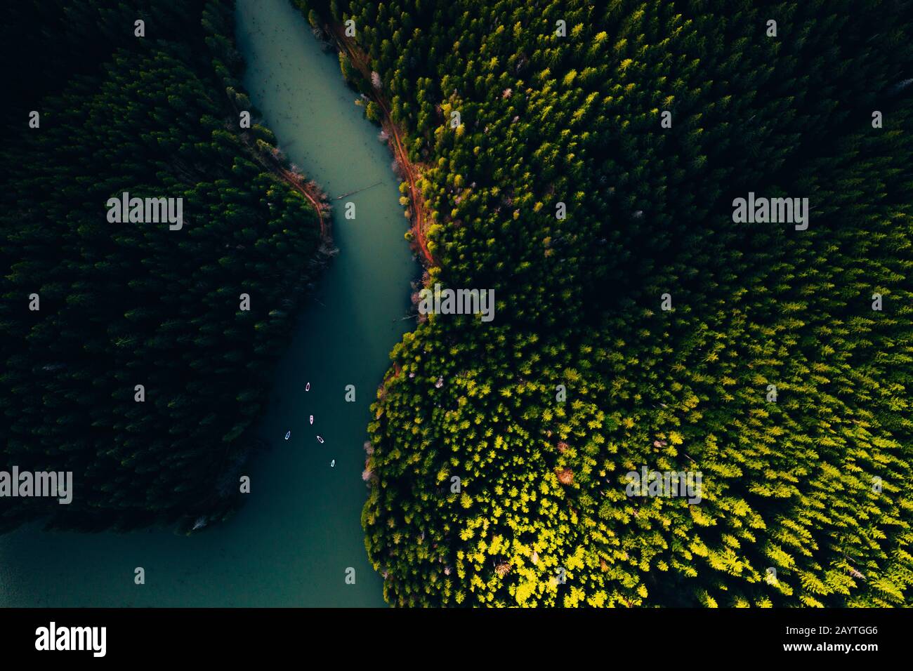 Lake ina pine tree forest with small boats seen from a drone Stock ...