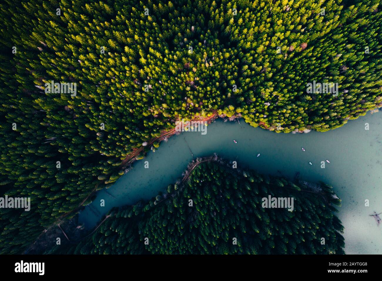 Lake ina pine tree forest with small boats seen from a drone Stock ...
