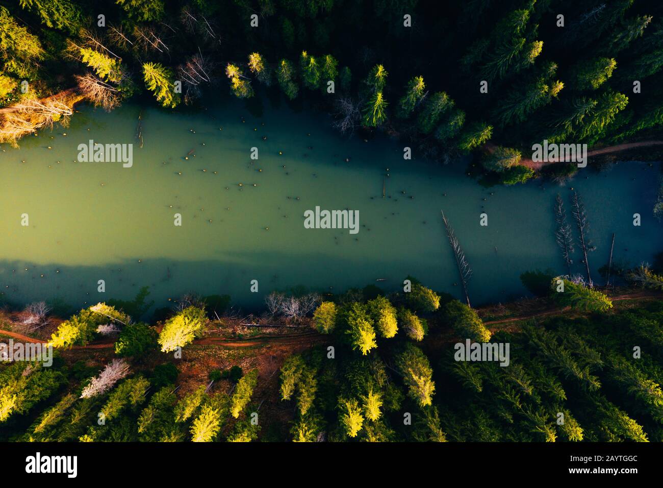 Lake ina pine tree forest with small boats seen from a drone Stock ...