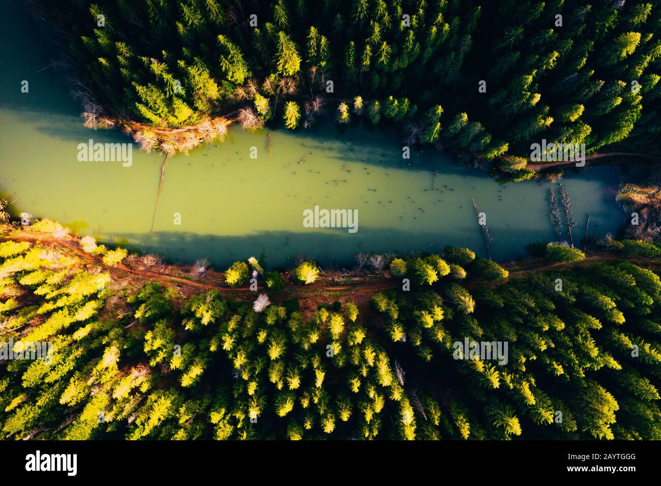 Lake ina pine tree forest with small boats seen from a drone Stock ...