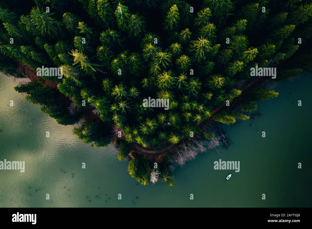 Lake ina pine tree forest with small boats seen from a drone Stock ...