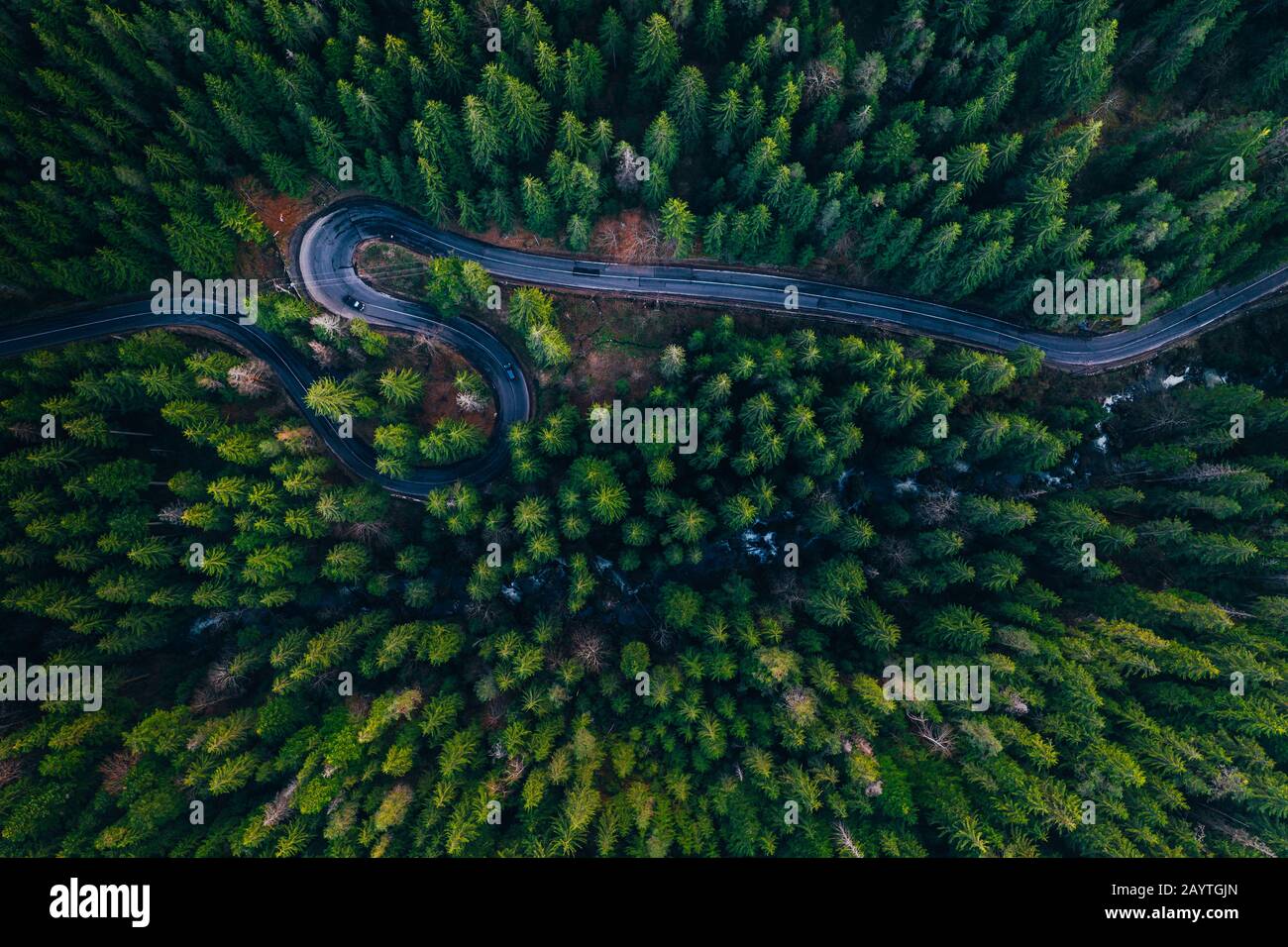 Drone view of winding forest road Stock Photo - Alamy