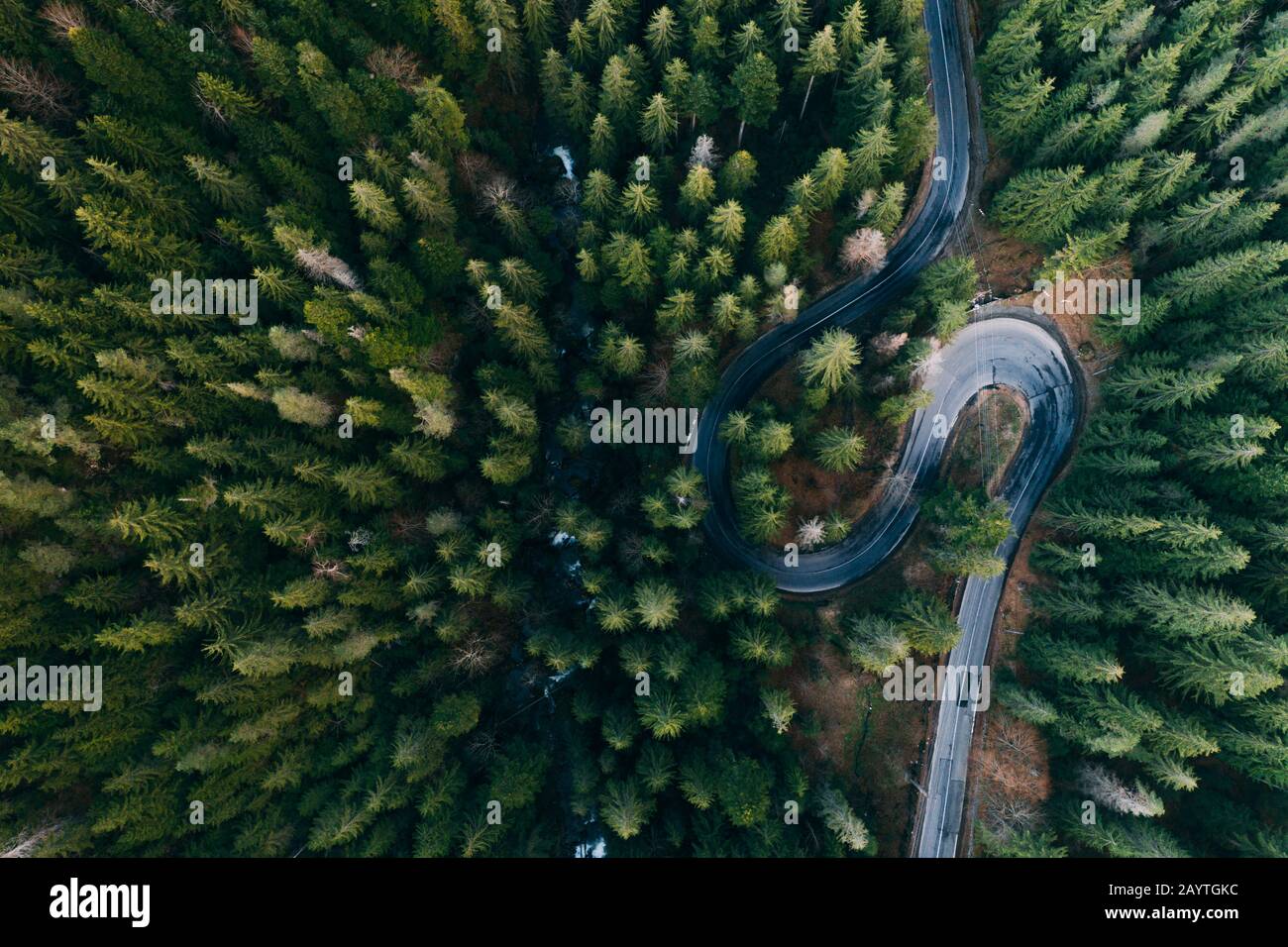 Drone view of winding forest road Stock Photo - Alamy