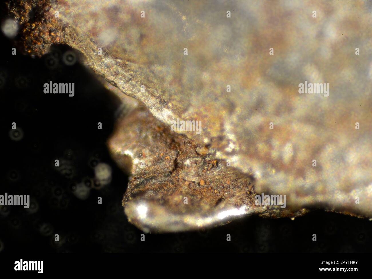 Space debris earth hi-res stock photography and images - Alamy