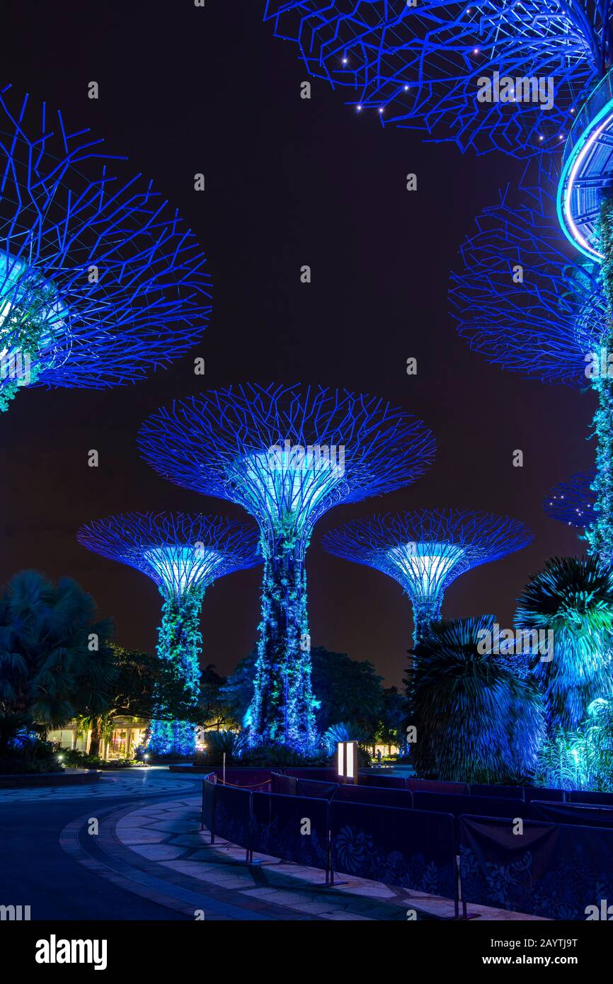 Supertrees at night, Supertree Grove, Gardens by the Bay, Singapore ...