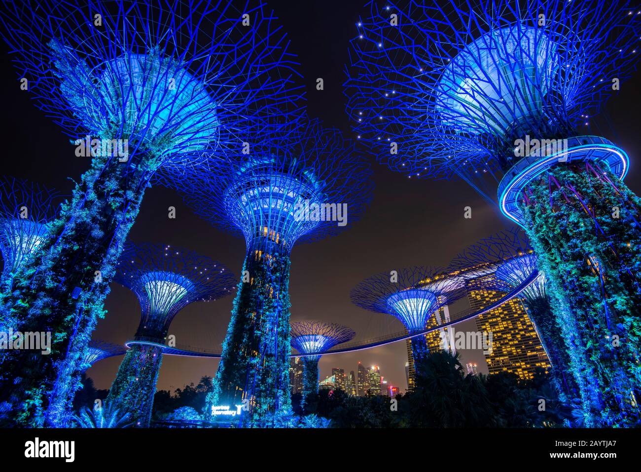 Singapore trees hi-res stock photography and images - Alamy