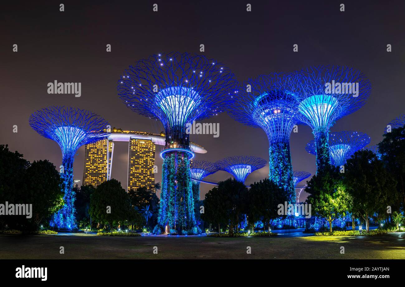 Supertrees at night, Marina Bay Sands Hotel in the background ...