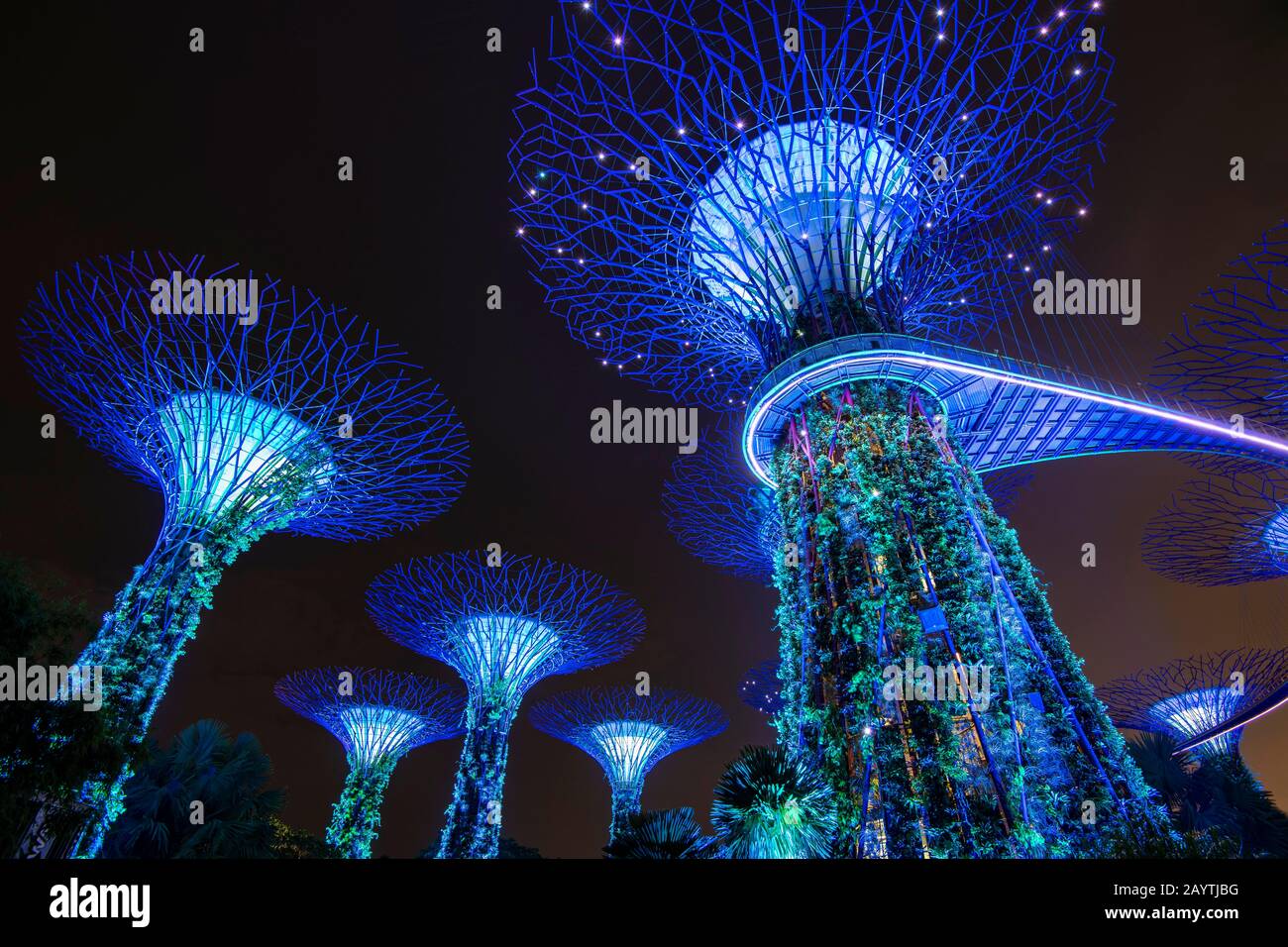 Singapore night gardens by the bay hi-res stock photography and images - Alamy