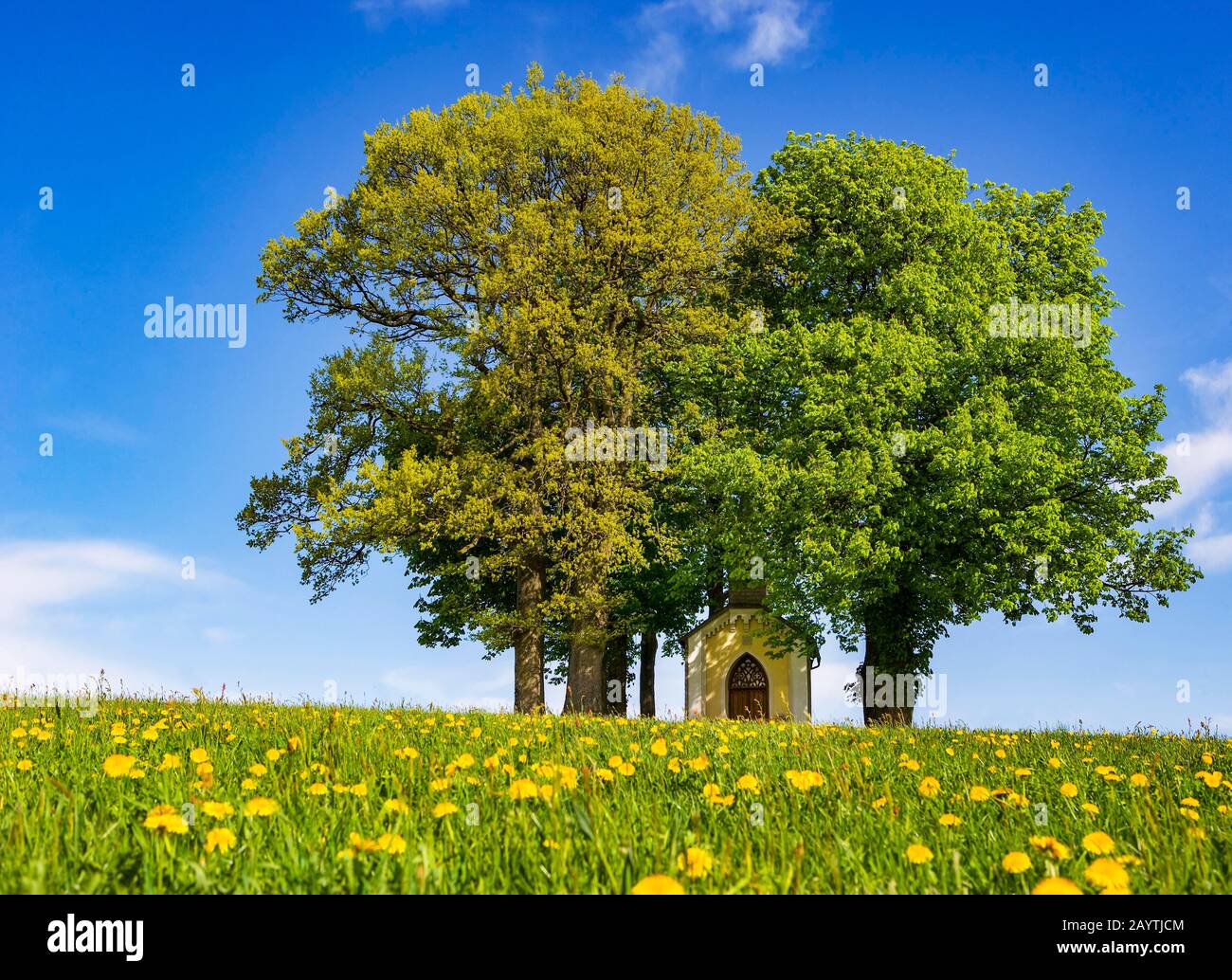 Small chapel between lime tree and chestnut tree hi-res stock ...