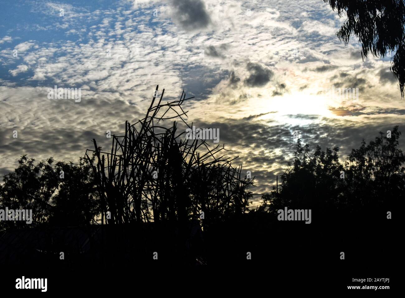 dark foreground with beautiful colorful bright sky in the background ...