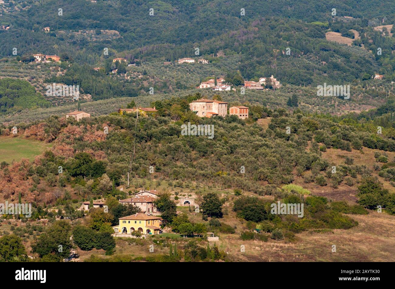Elevated view of olive groves hi-res stock photography and images - Alamy