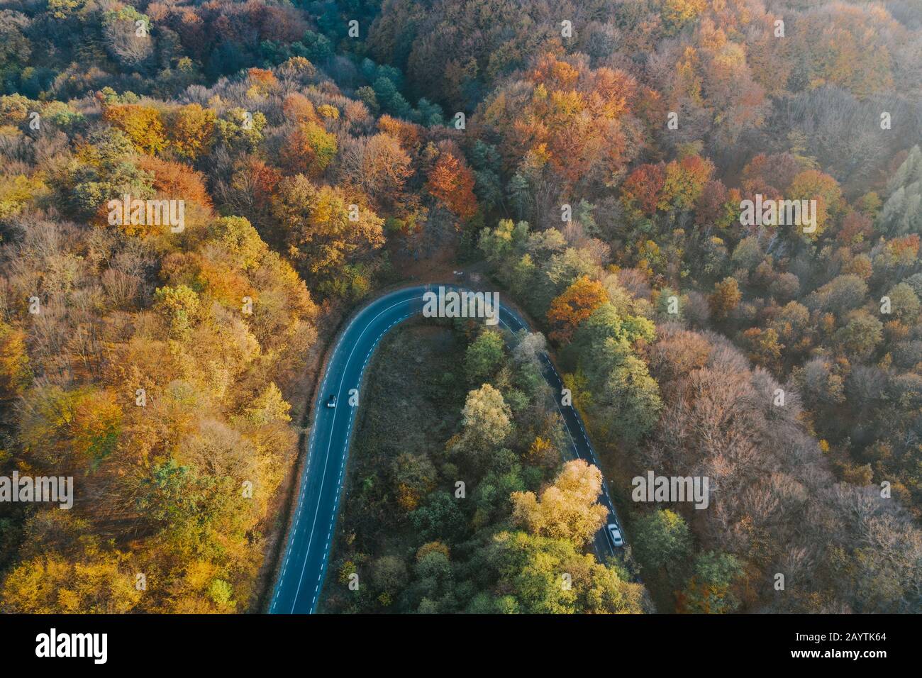 Drone view of a forest and a serpentine road in autumn with colorful ...