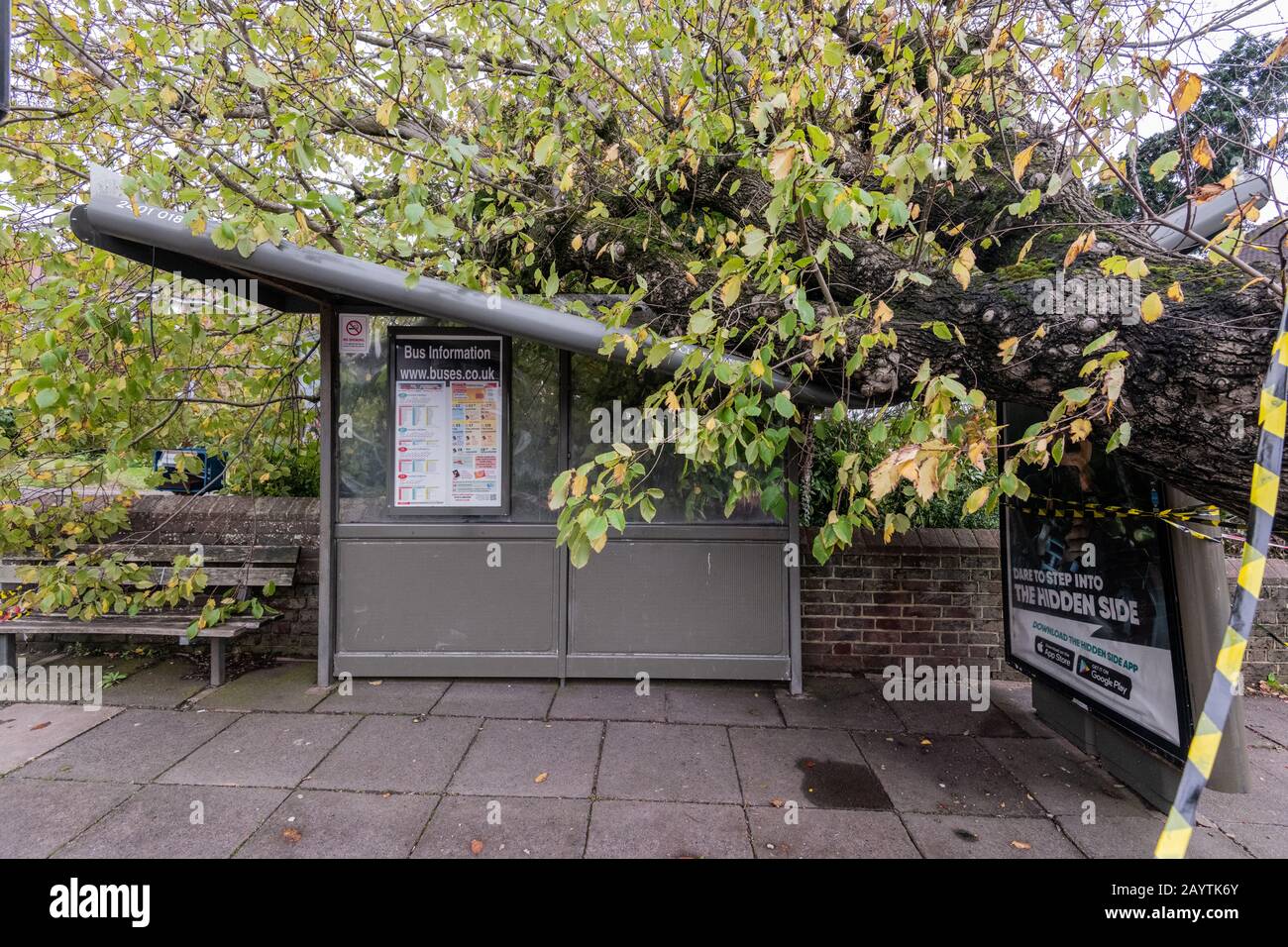 A tree toppled onto a damaged bus stop hi-res stock photography and ...