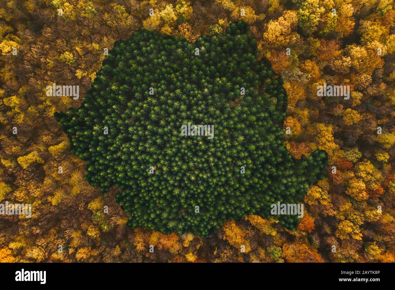 Global deforestation map hi-res stock photography and images - Alamy
