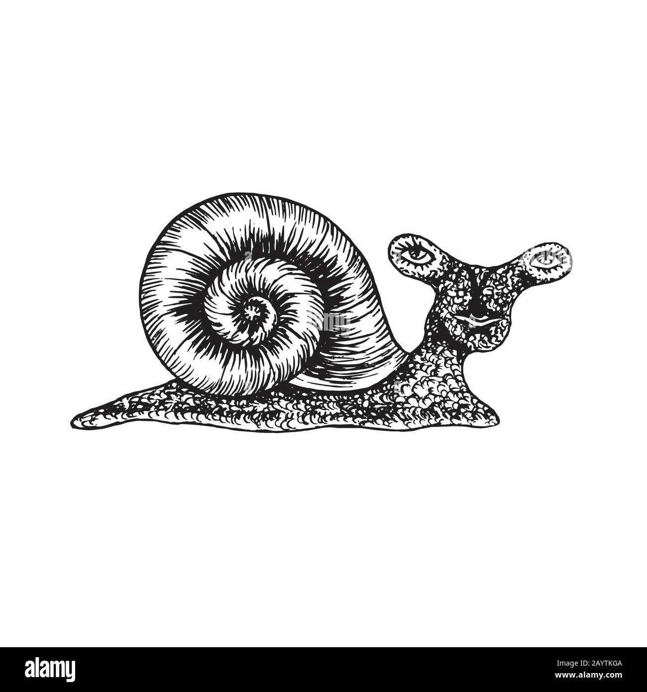 Slug head Cut Out Stock Images & Pictures - Alamy