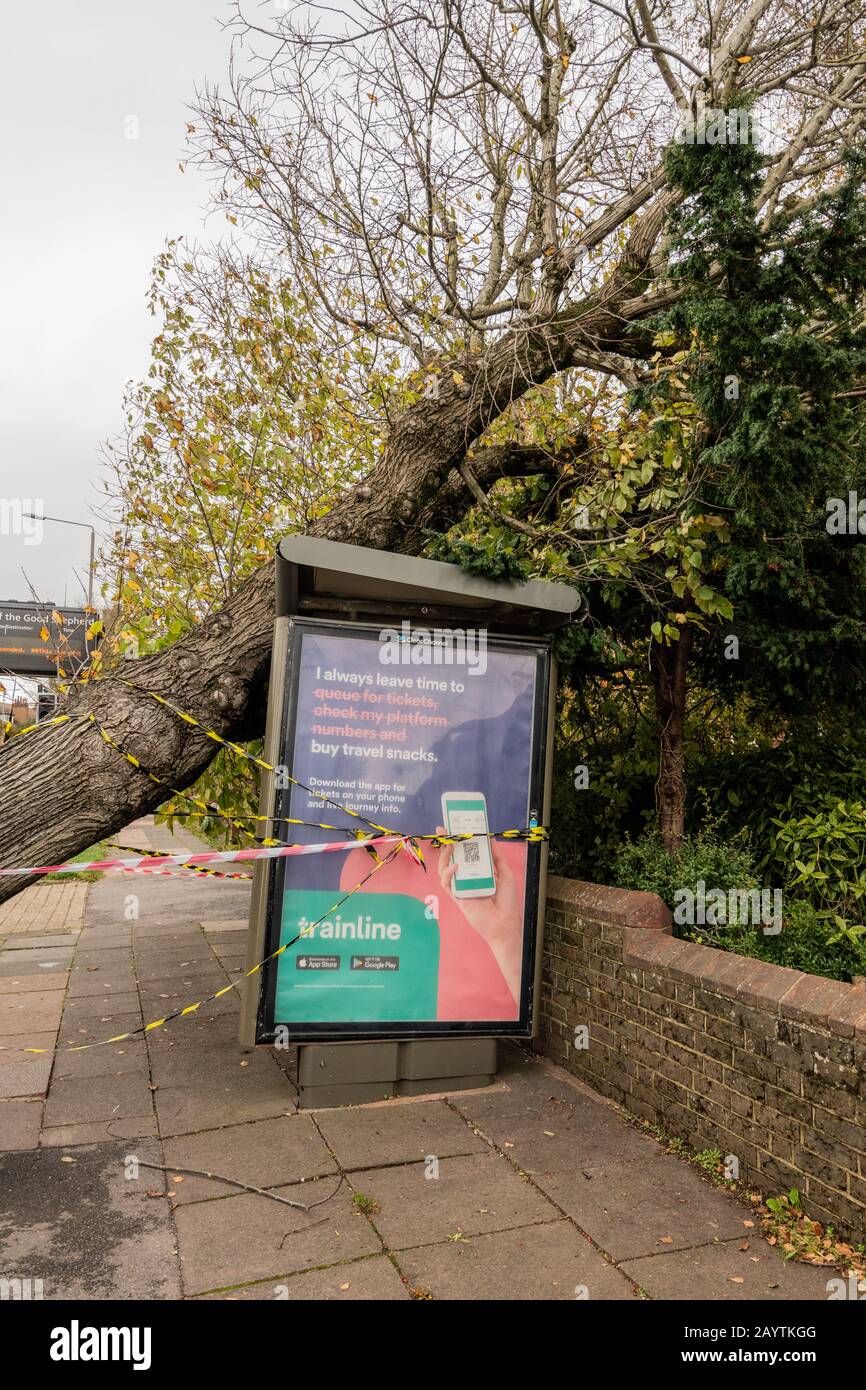 A tree toppled onto a damaged bus stop hi-res stock photography and ...
