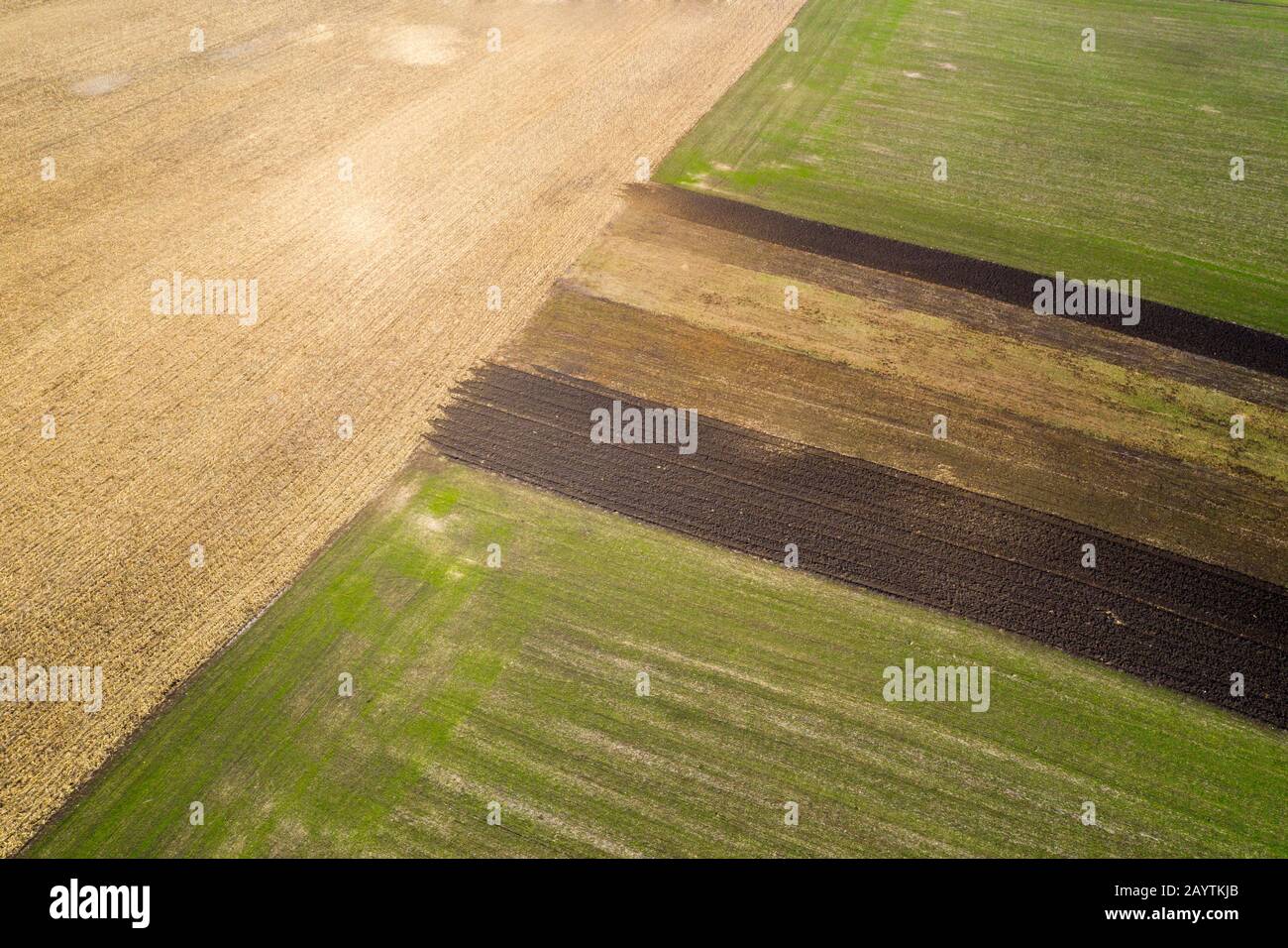Agricultural hills in spring Stock Photo - Alamy