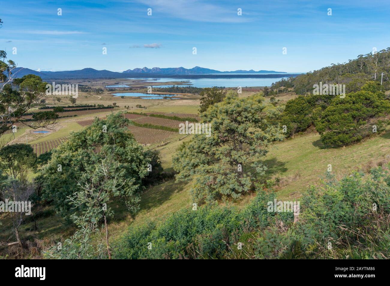 Countryside landscape with farmland with vineyard, lake and mountains ...