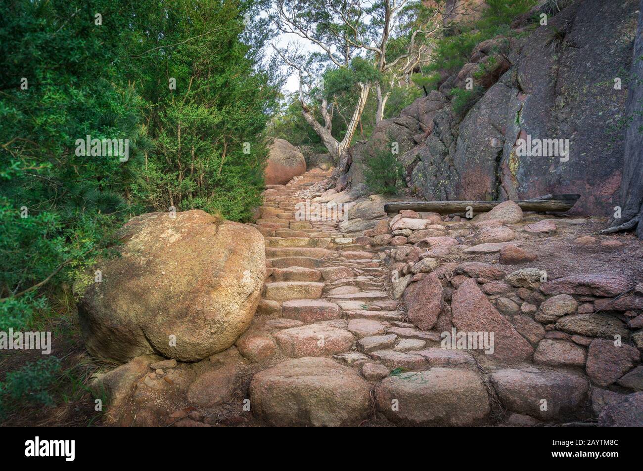 Stone lined path with steps in national park. Tourism infrastructure ...