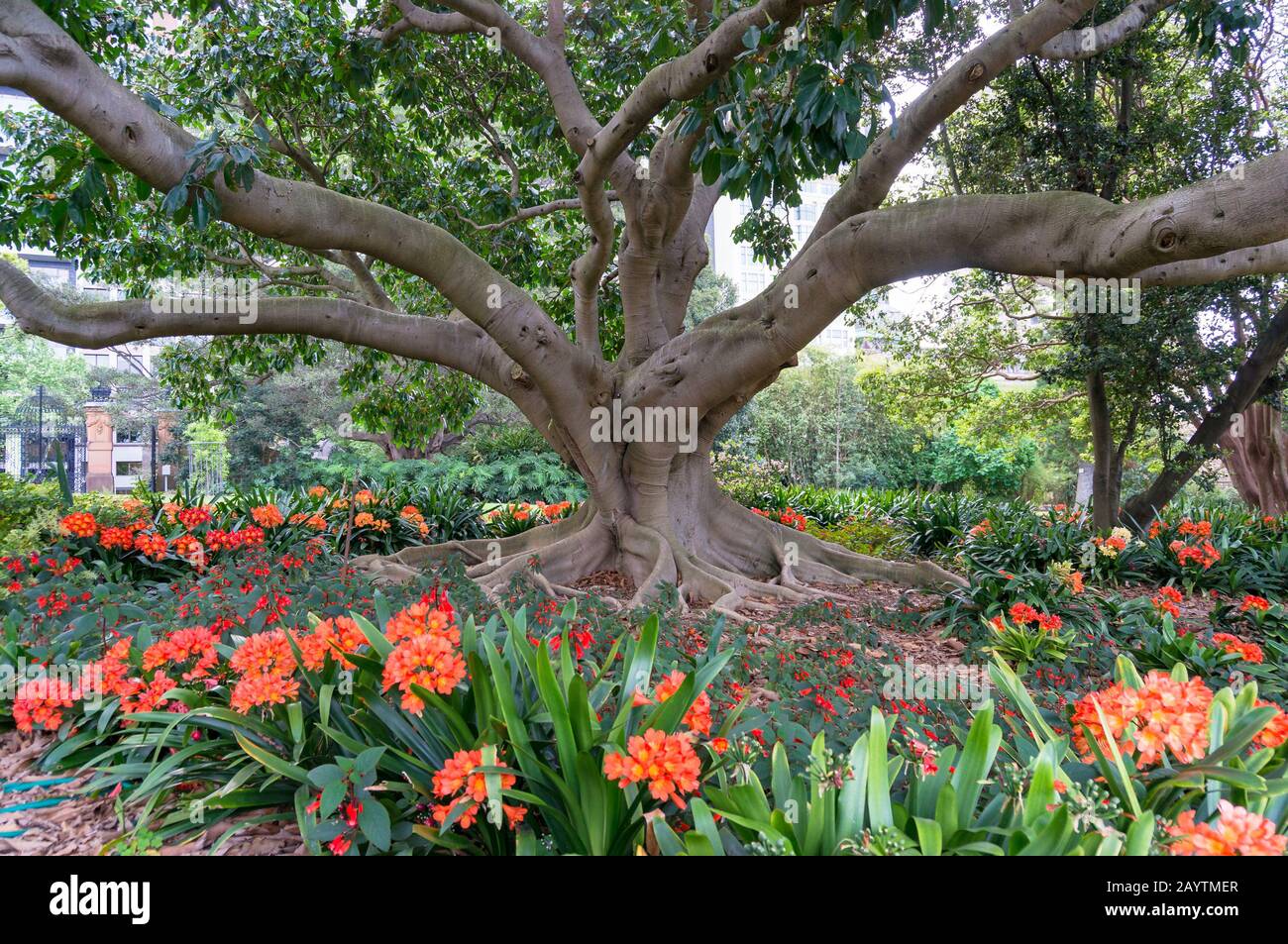 Lili park hi-res stock photography and images - Alamy