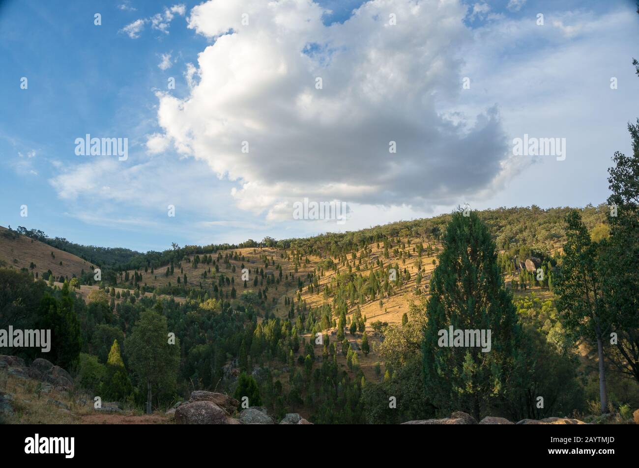 Nature landscape of beautiful hills covered with trees. Australian ...