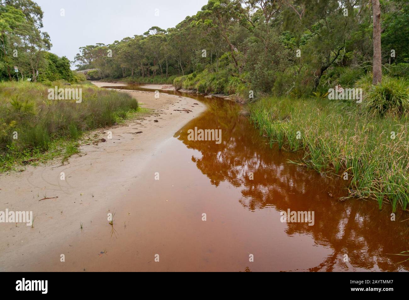 Contamintaion hi-res stock photography and images - Alamy